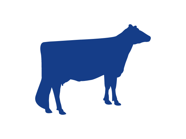 About Alta Genetics | Trusted Partner in Custom Cattle Genetics