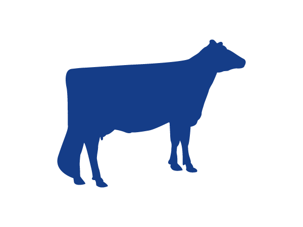 About Alta Genetics | Trusted Partner in Custom Cattle Genetics