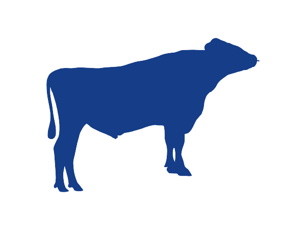 About Alta Genetics | Trusted Partner in Custom Cattle Genetics