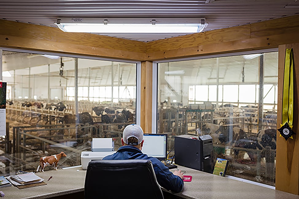 About Alta Genetics | Trusted Partner in Custom Cattle Genetics